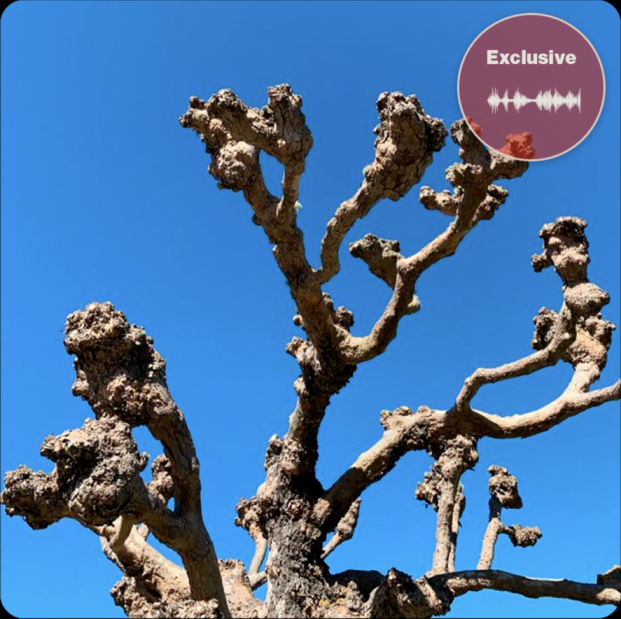 Russian Uke - Evil Tracks